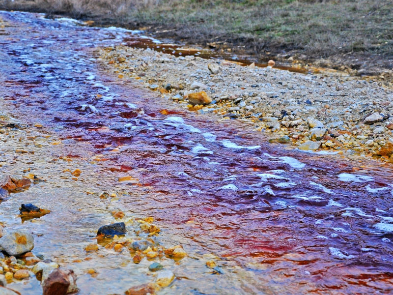 Contaminated water in NC linked to a higher risk of Parkinson's in new ...